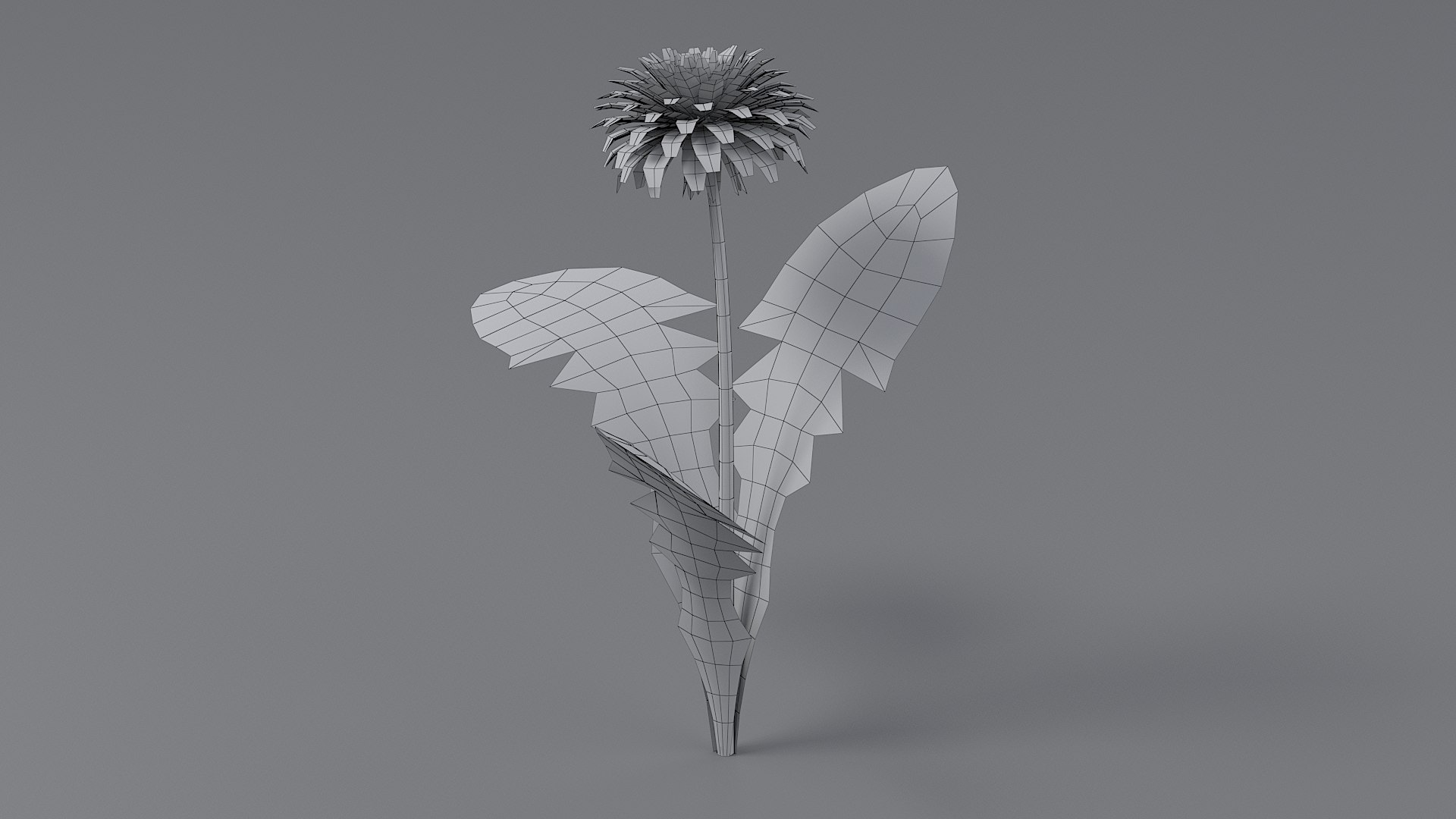 Cartoon Dandelion Collection 3D Model - TurboSquid 2048048