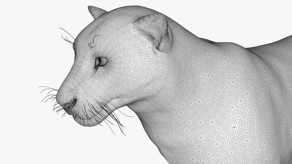 3D Animated Leopard - TurboSquid 1972095