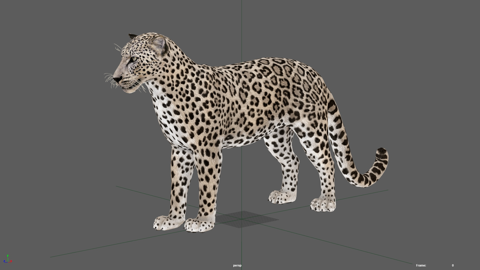 3D Animated Leopard - TurboSquid 1972095