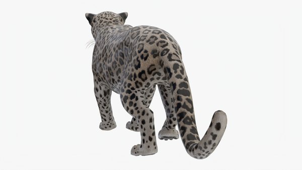 3D Animated Leopard - TurboSquid 1972095