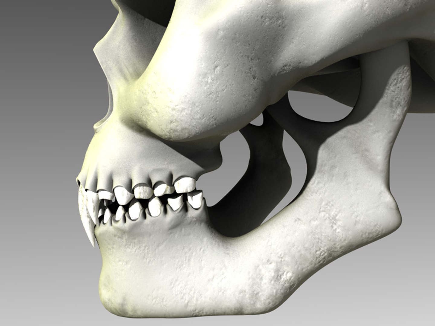 3ds Vampire Skull