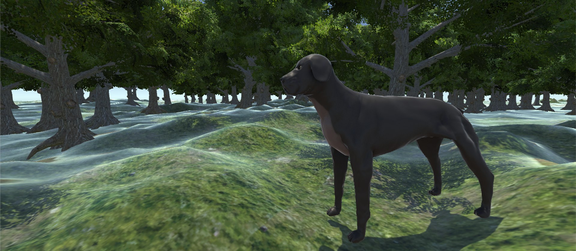 Character Boerboel Dog 3D Model | 1145985 | TurboSquid