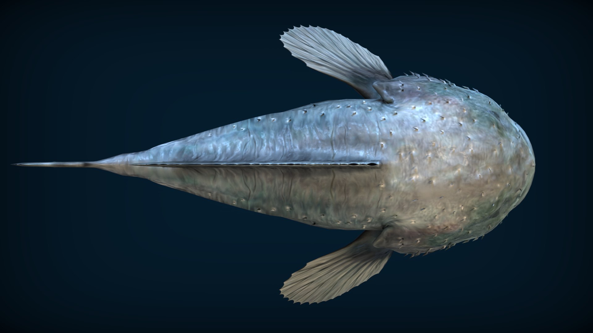 Blobfish 3D Model - TurboSquid 2306096