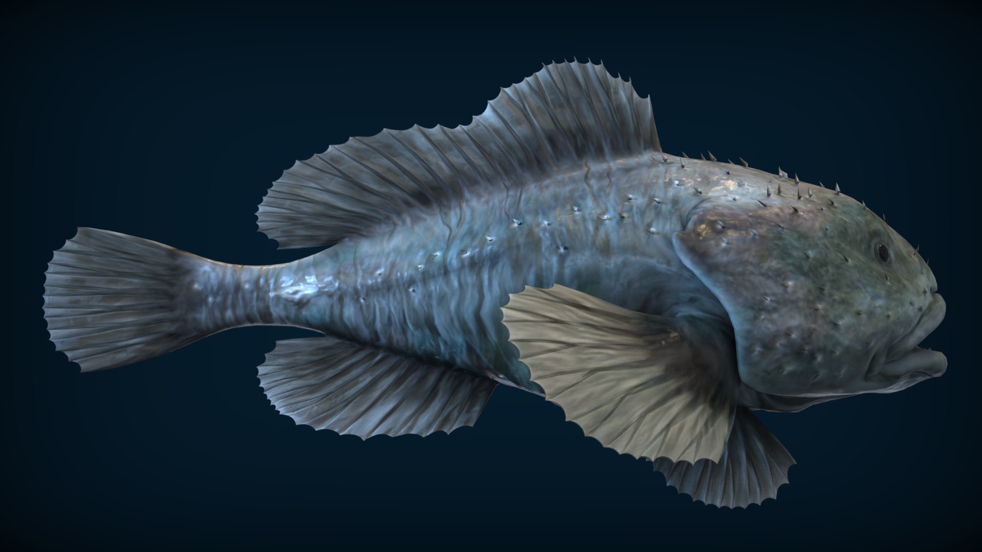 Blobfish 3D Model - TurboSquid 2306096