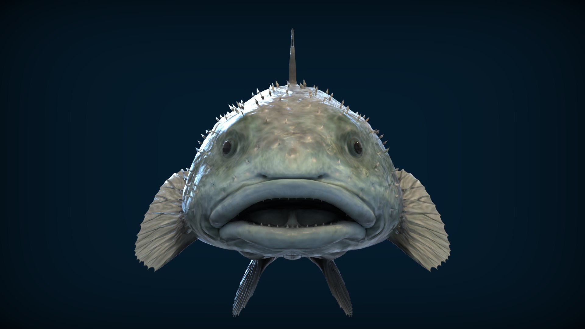 Blobfish 3D Model - TurboSquid 2306096
