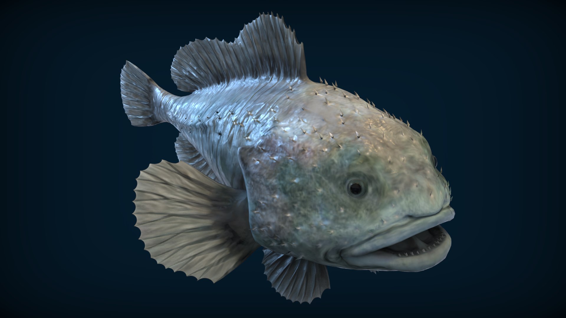 Blobfish 3D Model - TurboSquid 2306096