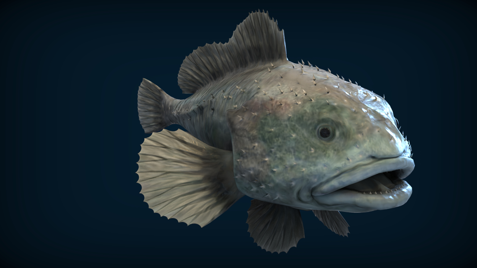 Blobfish 3D Model - TurboSquid 2306096