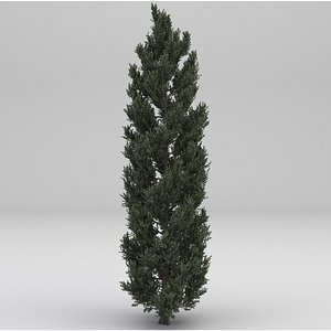 3D Cypress Oak Tree Model - TurboSquid 1671705