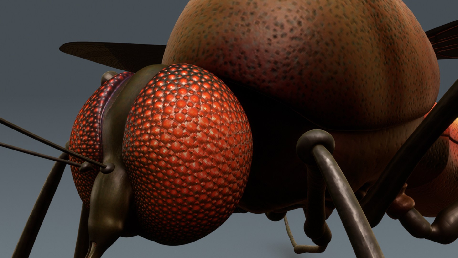 Mosquito 3d Model