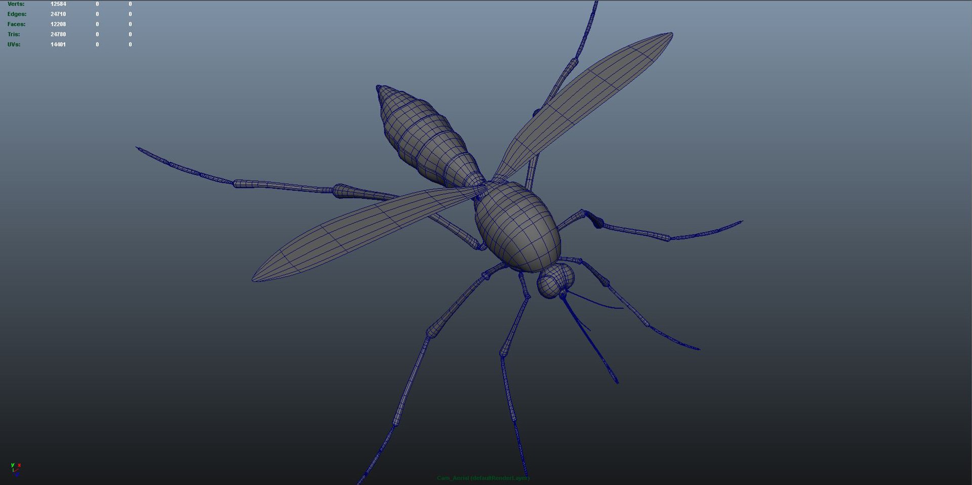 Mosquito 3d Model