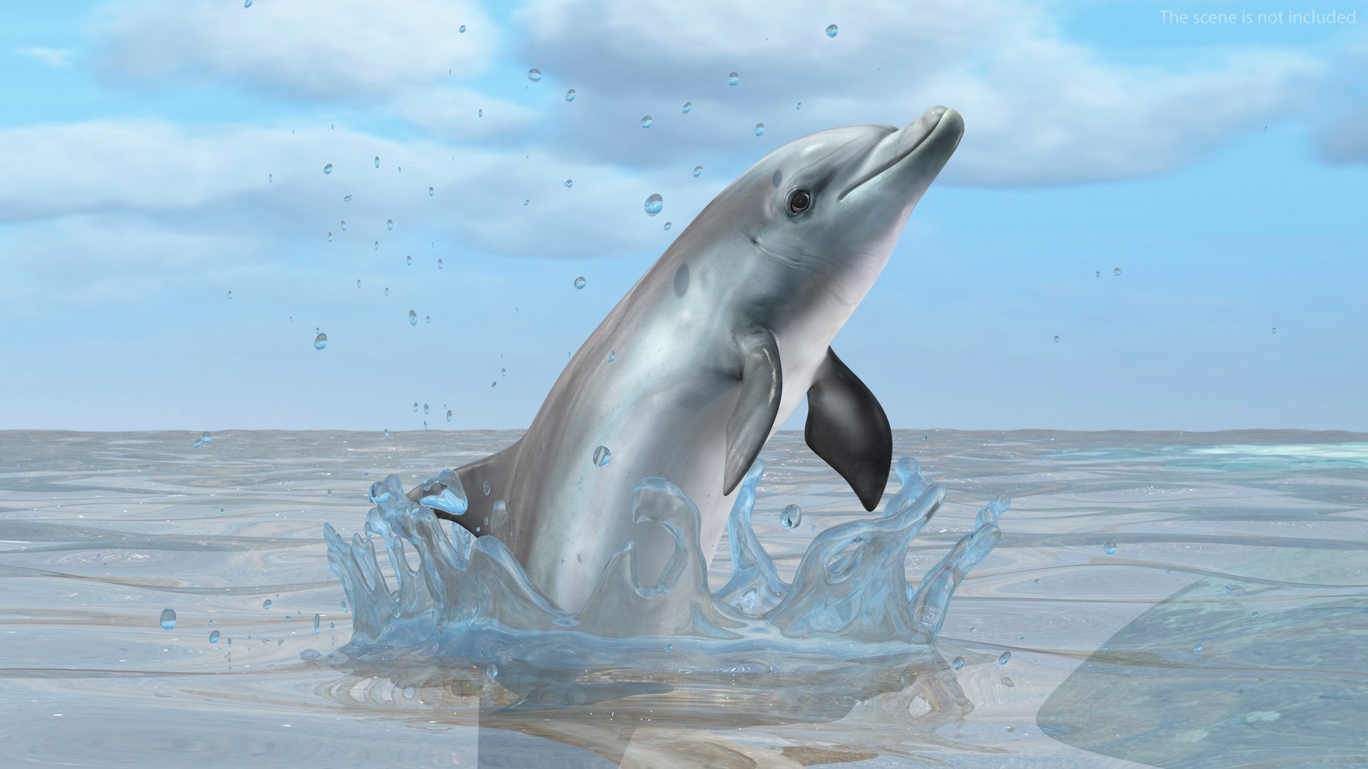 3D model Dolphin Jumping Out Of Water Animated - TurboSquid 2004700