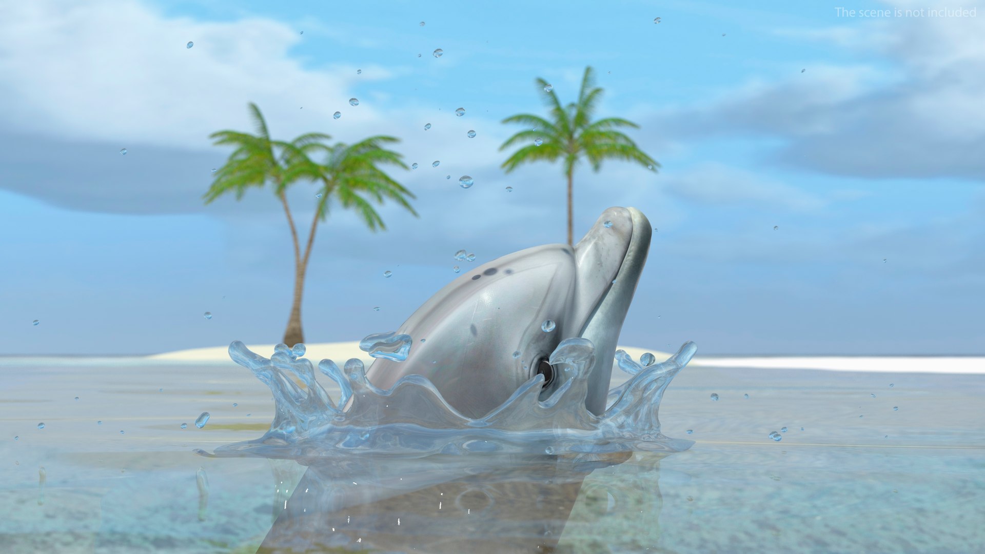 3D Model Dolphin Jumping Out Of Water Animated - TurboSquid 2004700