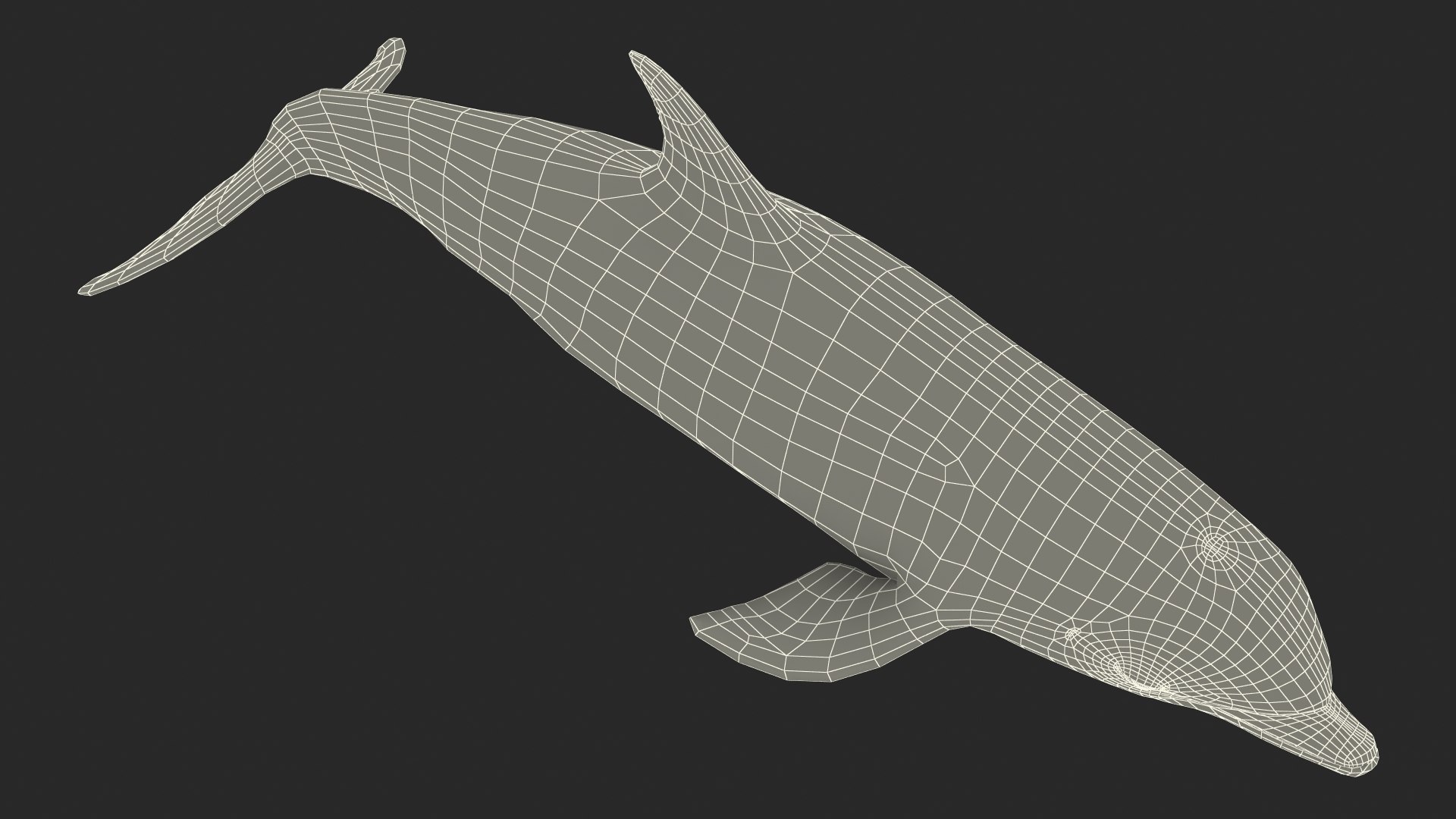 3D model Dolphin Jumping Out Of Water Animated - TurboSquid 2004700