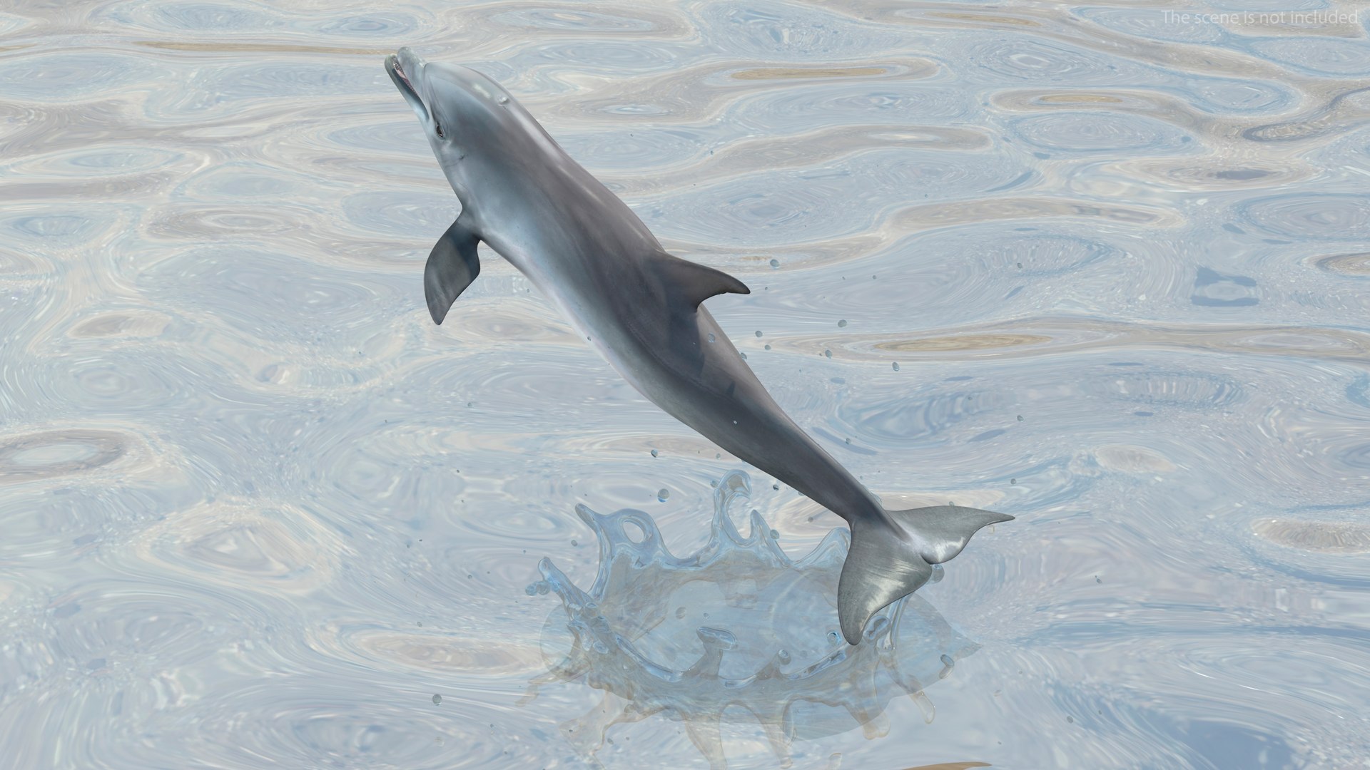 3D model Dolphin Jumping Out Of Water Animated - TurboSquid 2004700