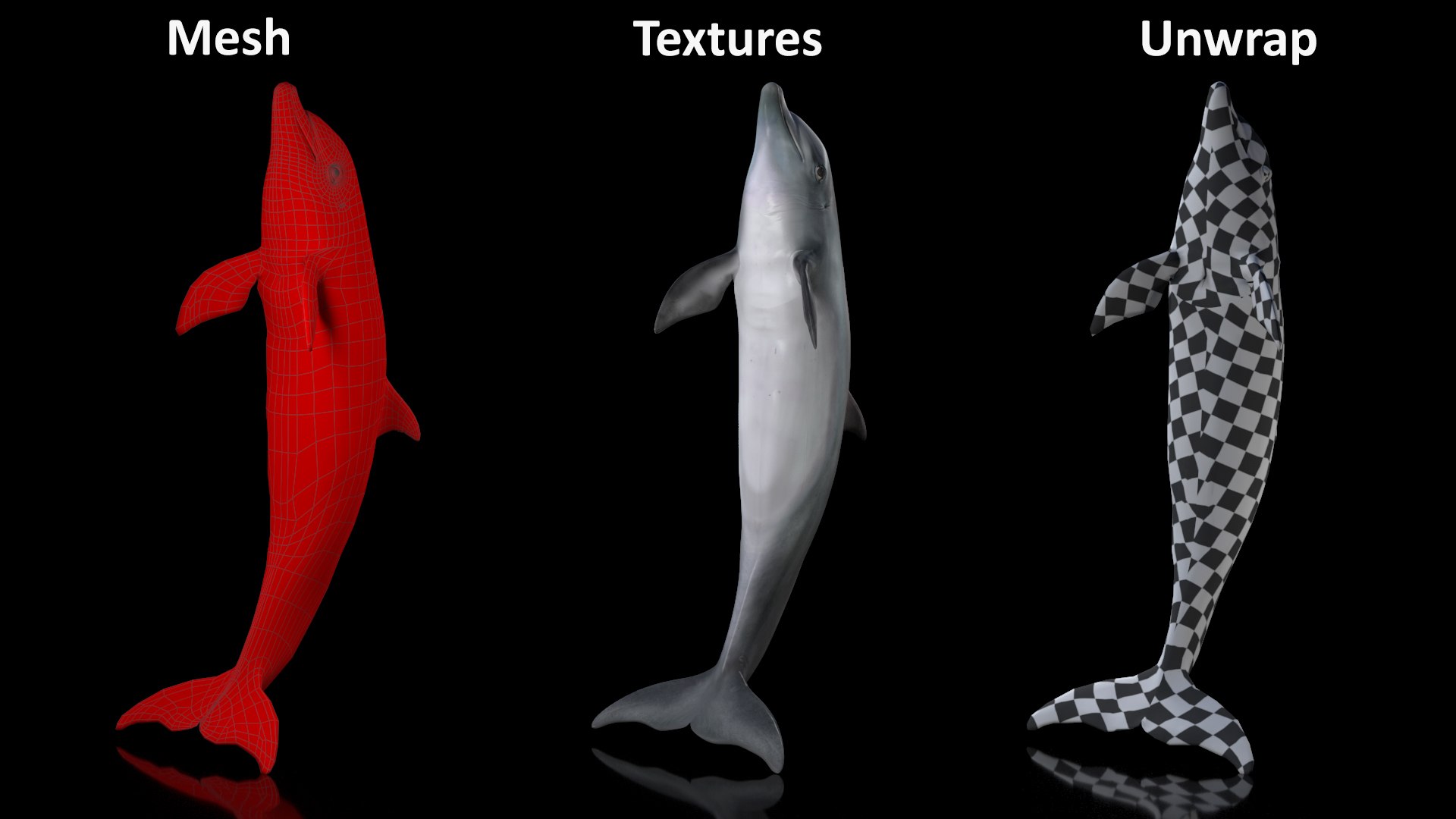 3D model Dolphin Jumping Out Of Water Animated - TurboSquid 2004700