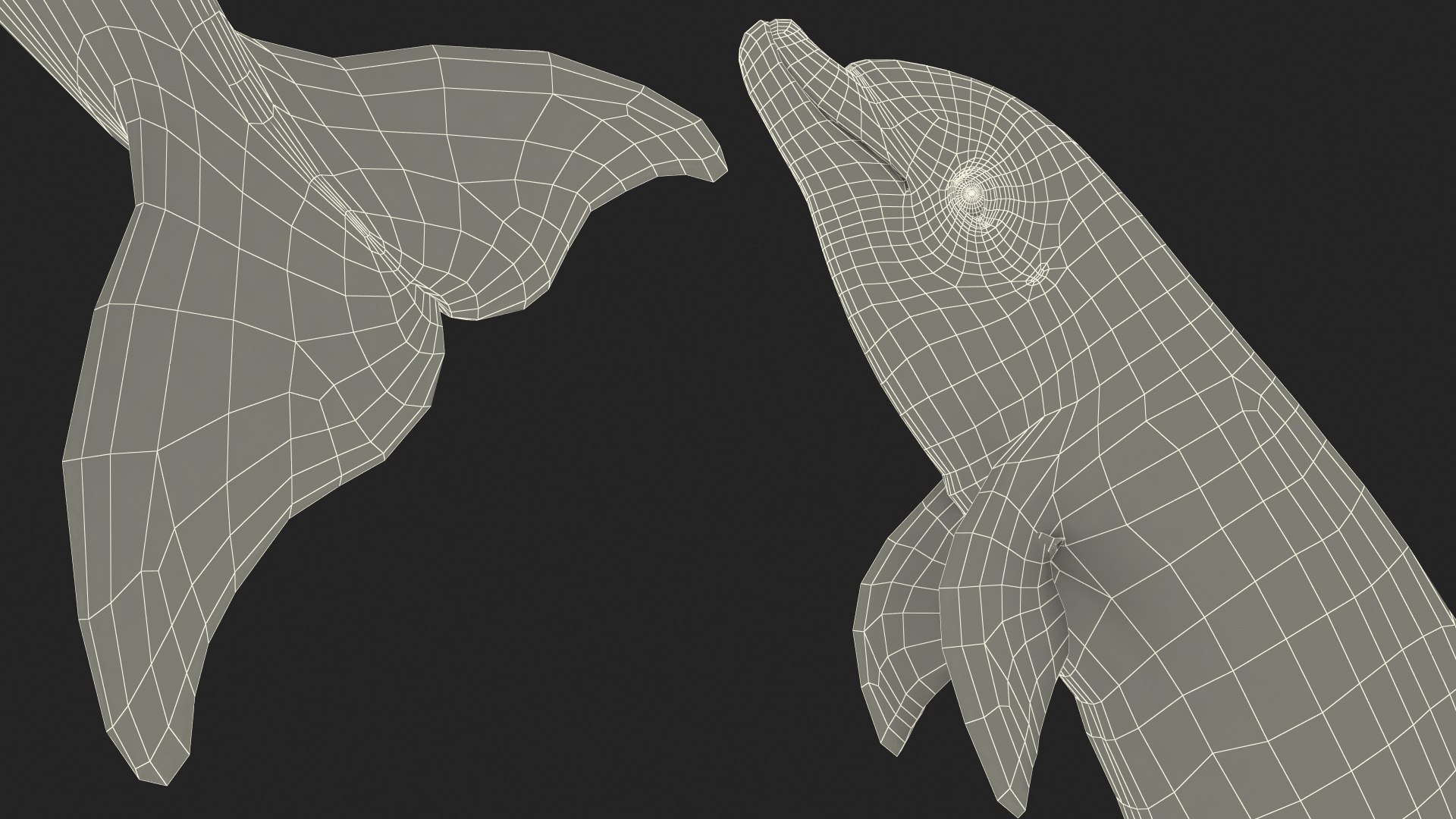 3D model Dolphin Jumping Out Of Water Animated - TurboSquid 2004700