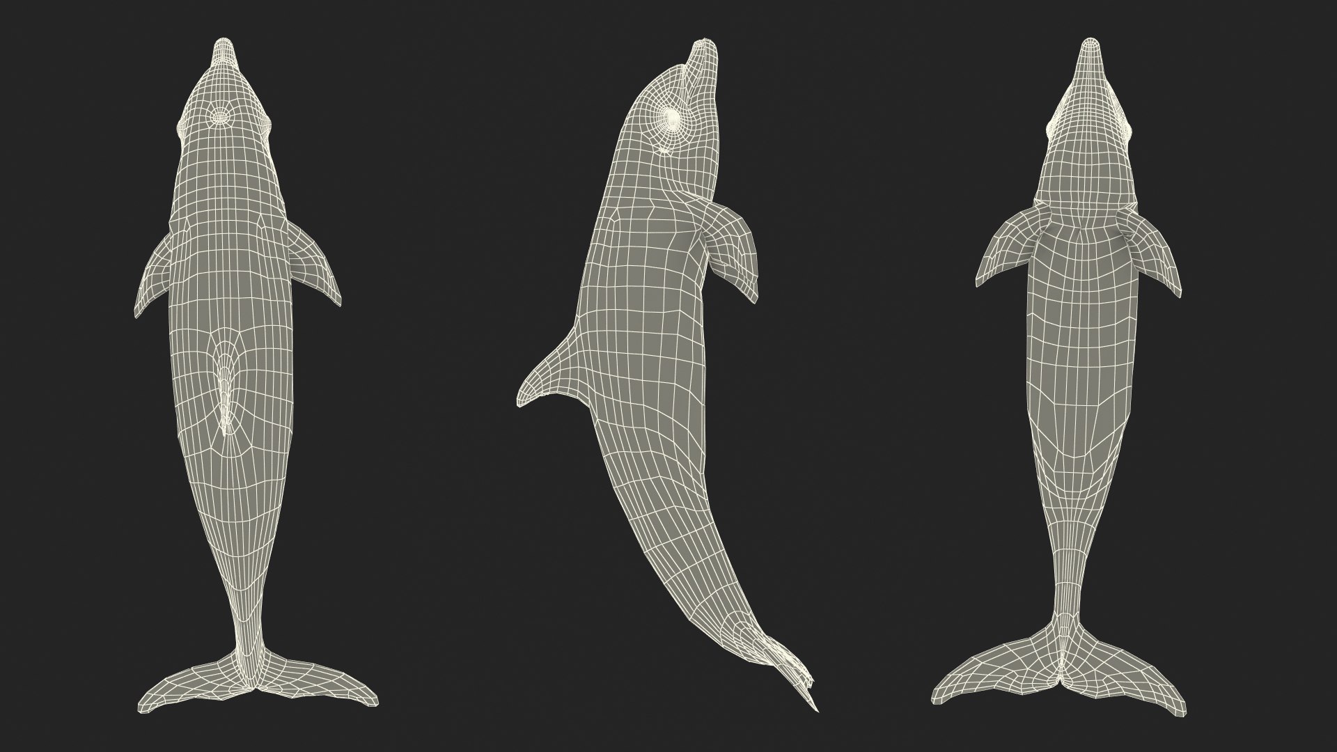 3D model Dolphin Jumping Out Of Water Animated - TurboSquid 2004700