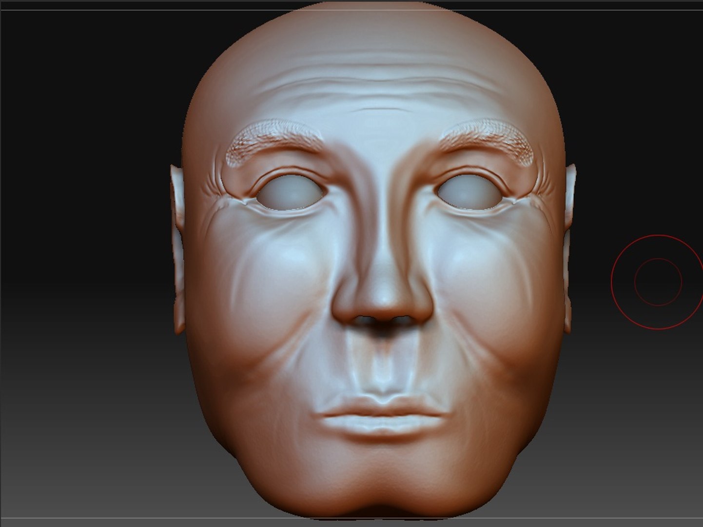 Max Head Stone Bust