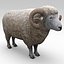 wether sheep 3d max