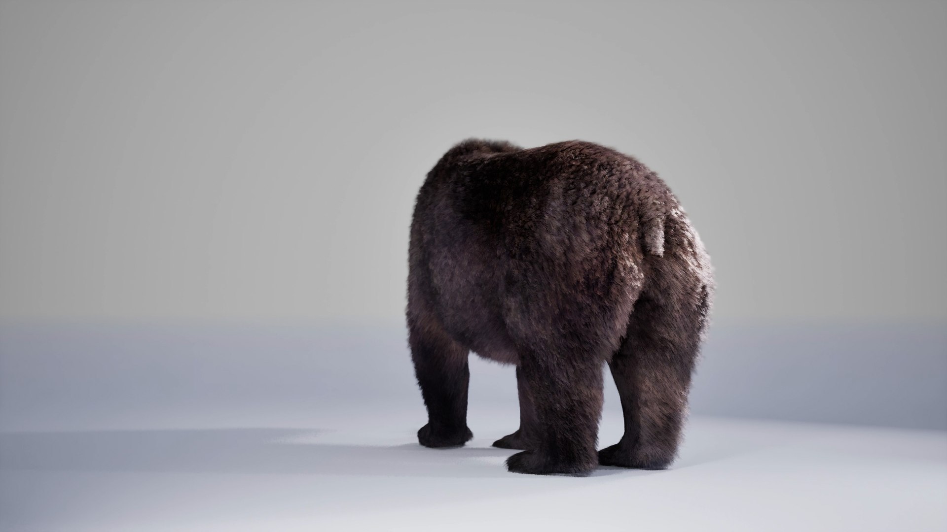 Bear Rig UNREAL Project Plus Maya Base Rig 3D - TurboSquid 2341954