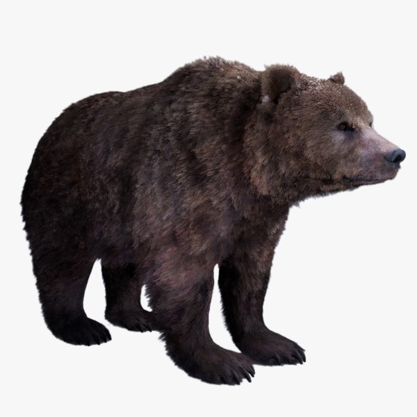 modelo 3d Proyecto UNREAL Bear Rig más plataforma base Maya ...