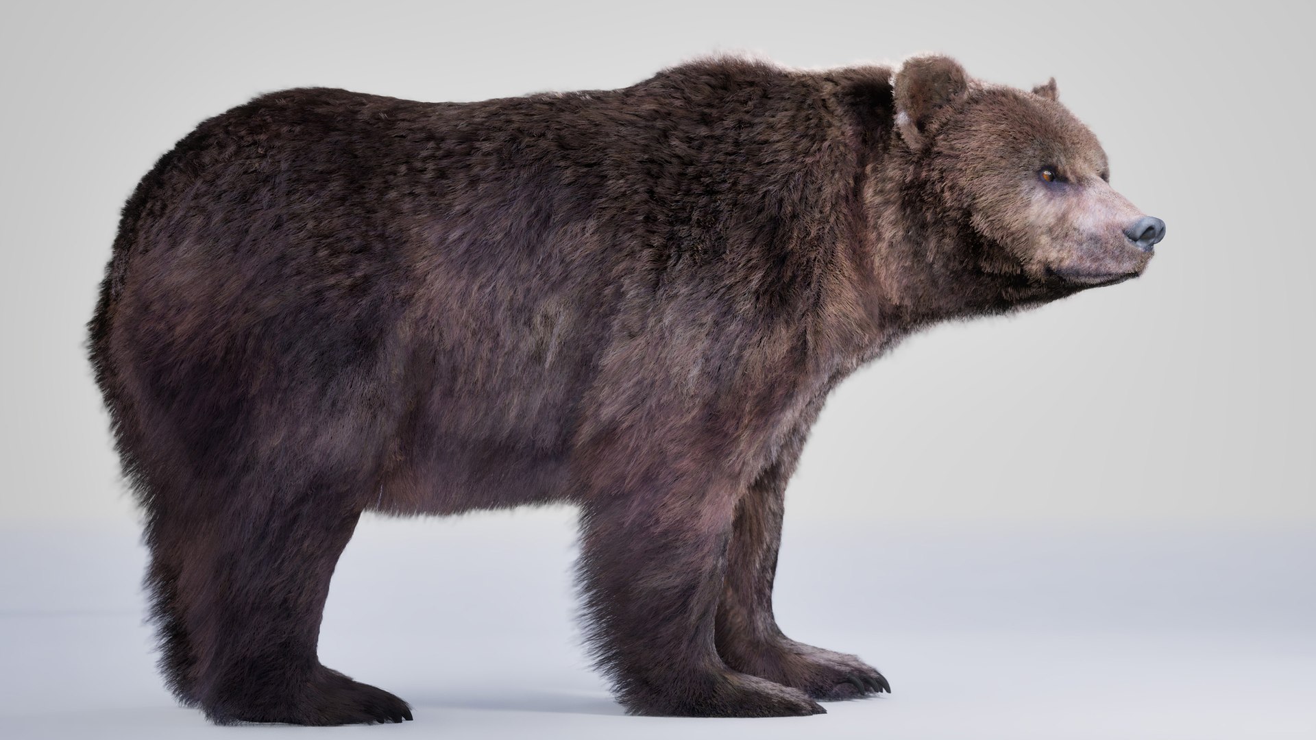 Bear Rig UNREAL Project Plus Maya Base Rig 3D - TurboSquid 2341954