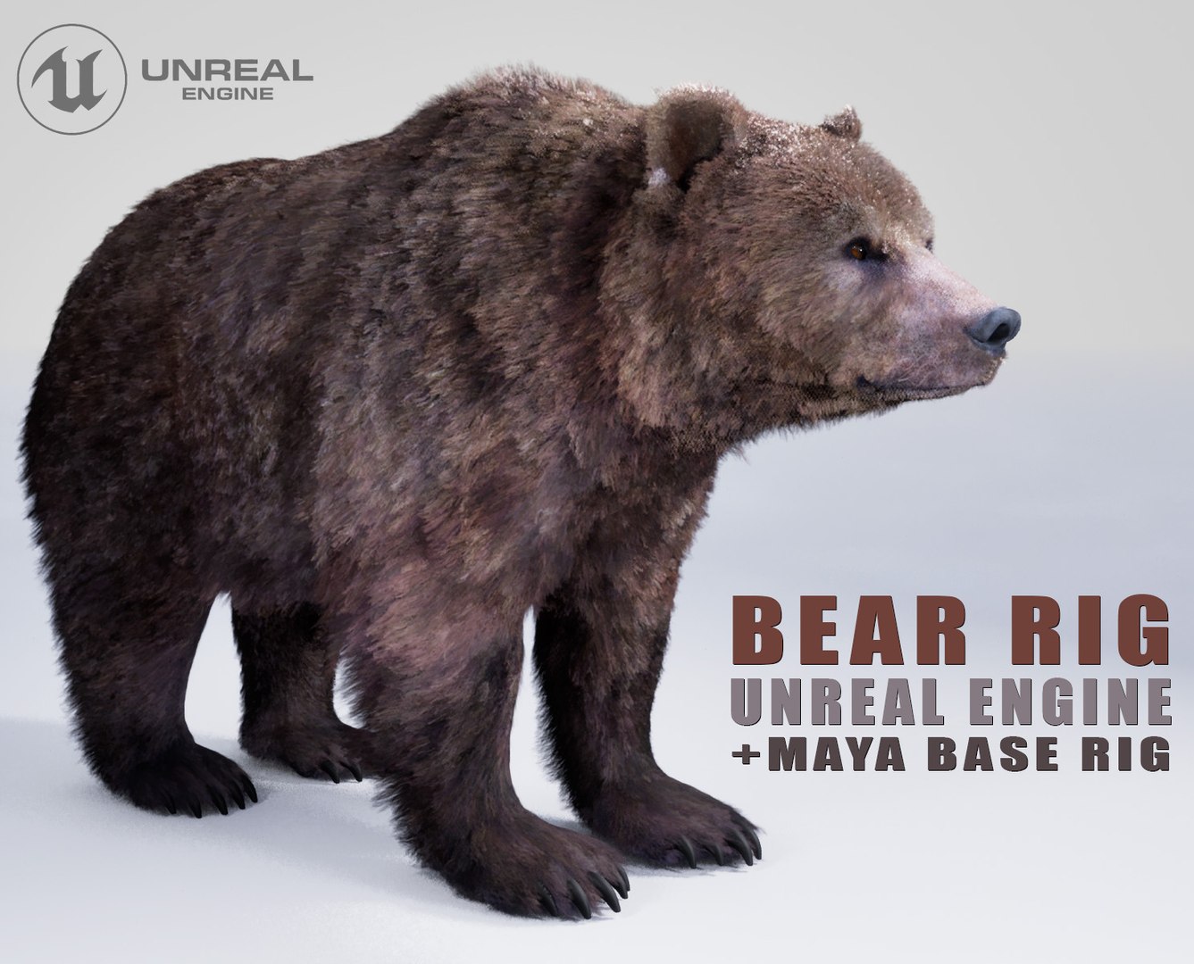 Bear Rig UNREAL Project Plus Maya Base Rig 3D - TurboSquid 2341954