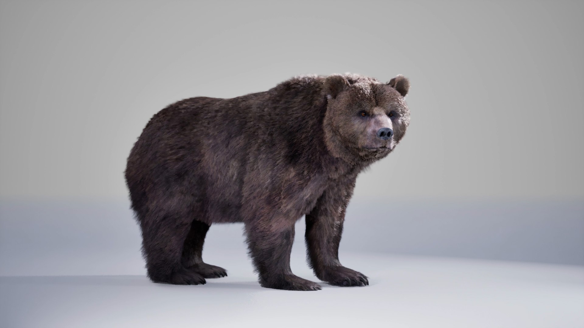 Bear Rig UNREAL Project Plus Maya Base Rig 3D - TurboSquid 2341954