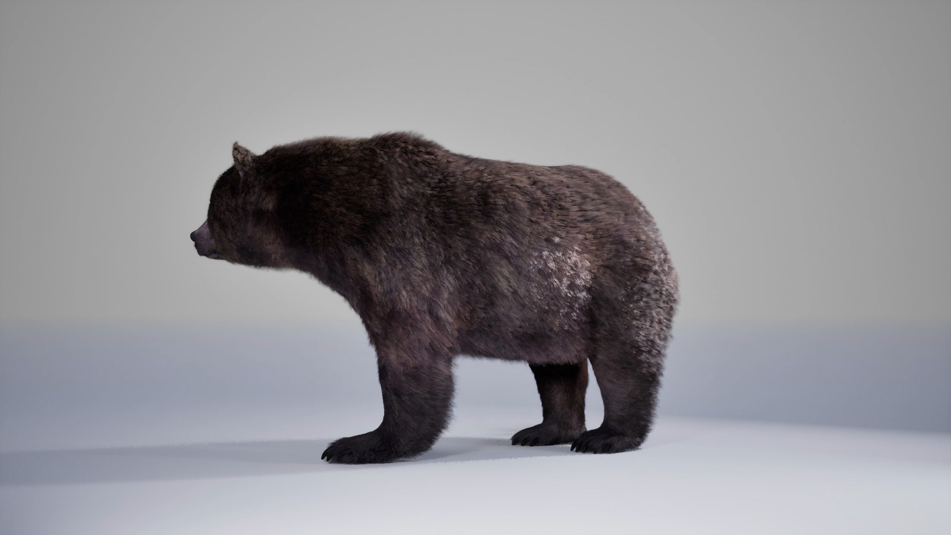 Bear Rig UNREAL Project Plus Maya Base Rig 3D - TurboSquid 2341954