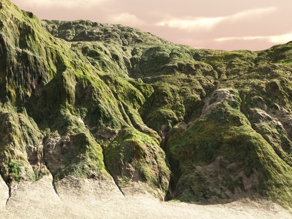 realistic beach vue 3d model