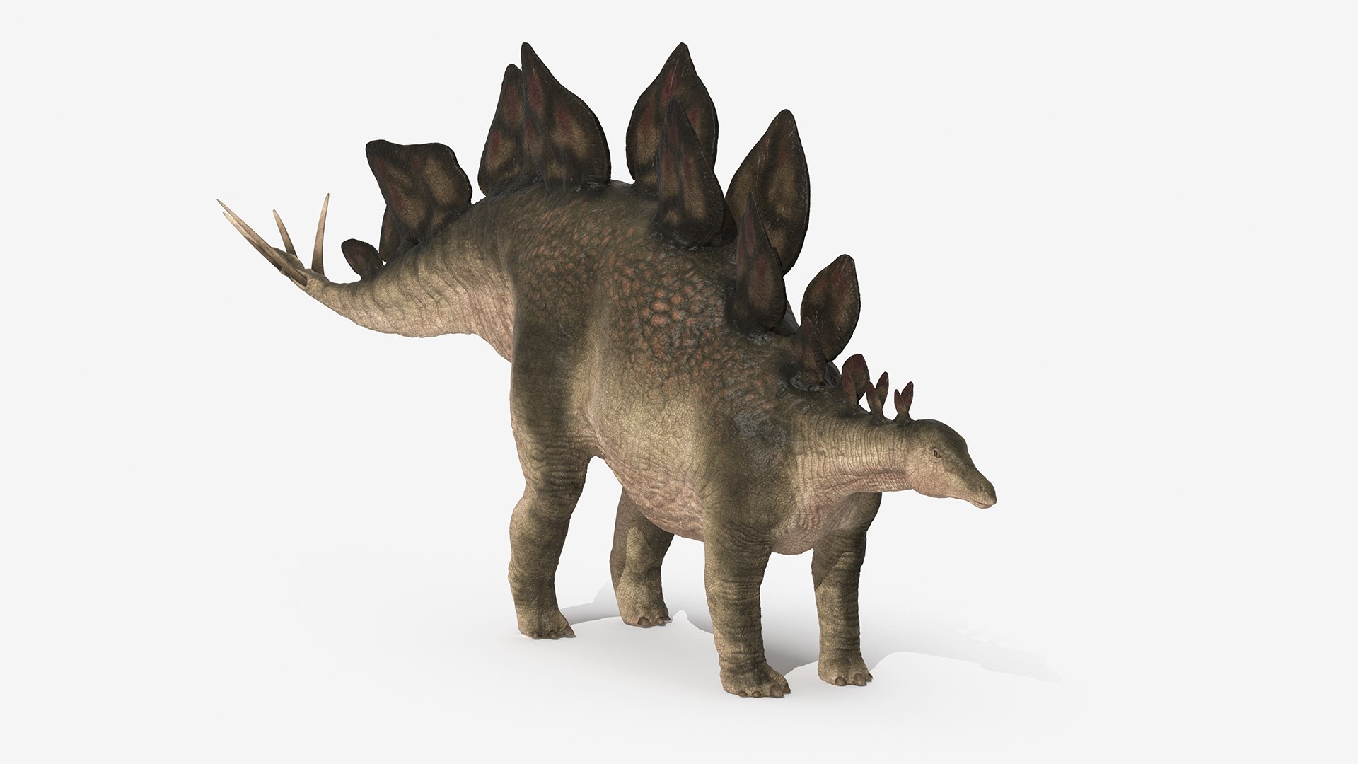 Stegosaurus - Rigged And Animated 3D - TurboSquid 1770311