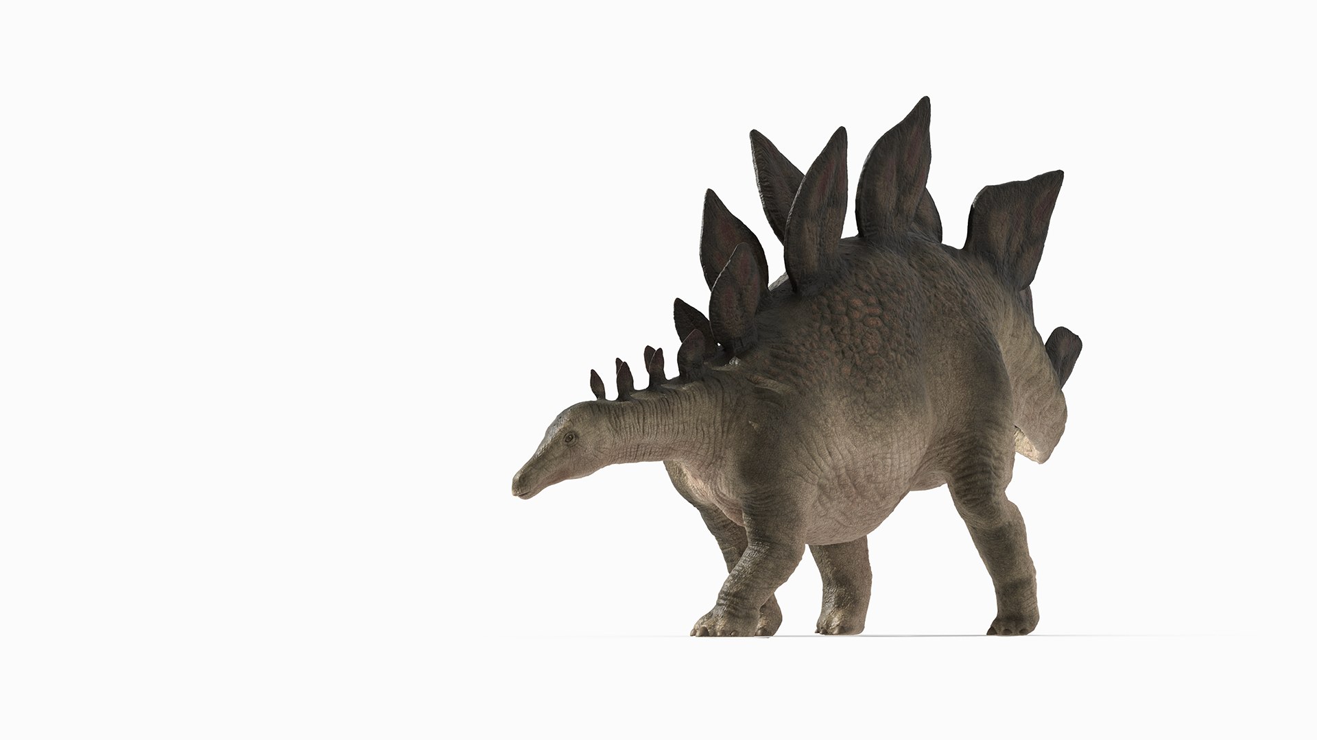 Stegosaurus - Rigged And Animated 3D - TurboSquid 1770311