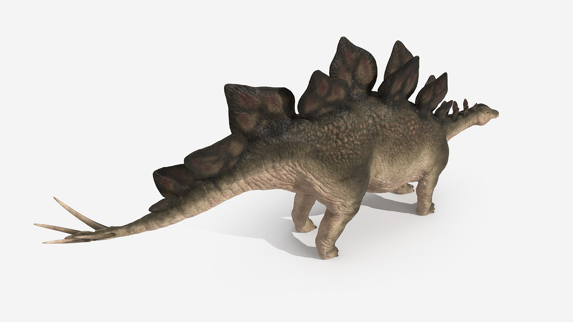 Stegosaurus - Rigged And Animated 3D - TurboSquid 1770311