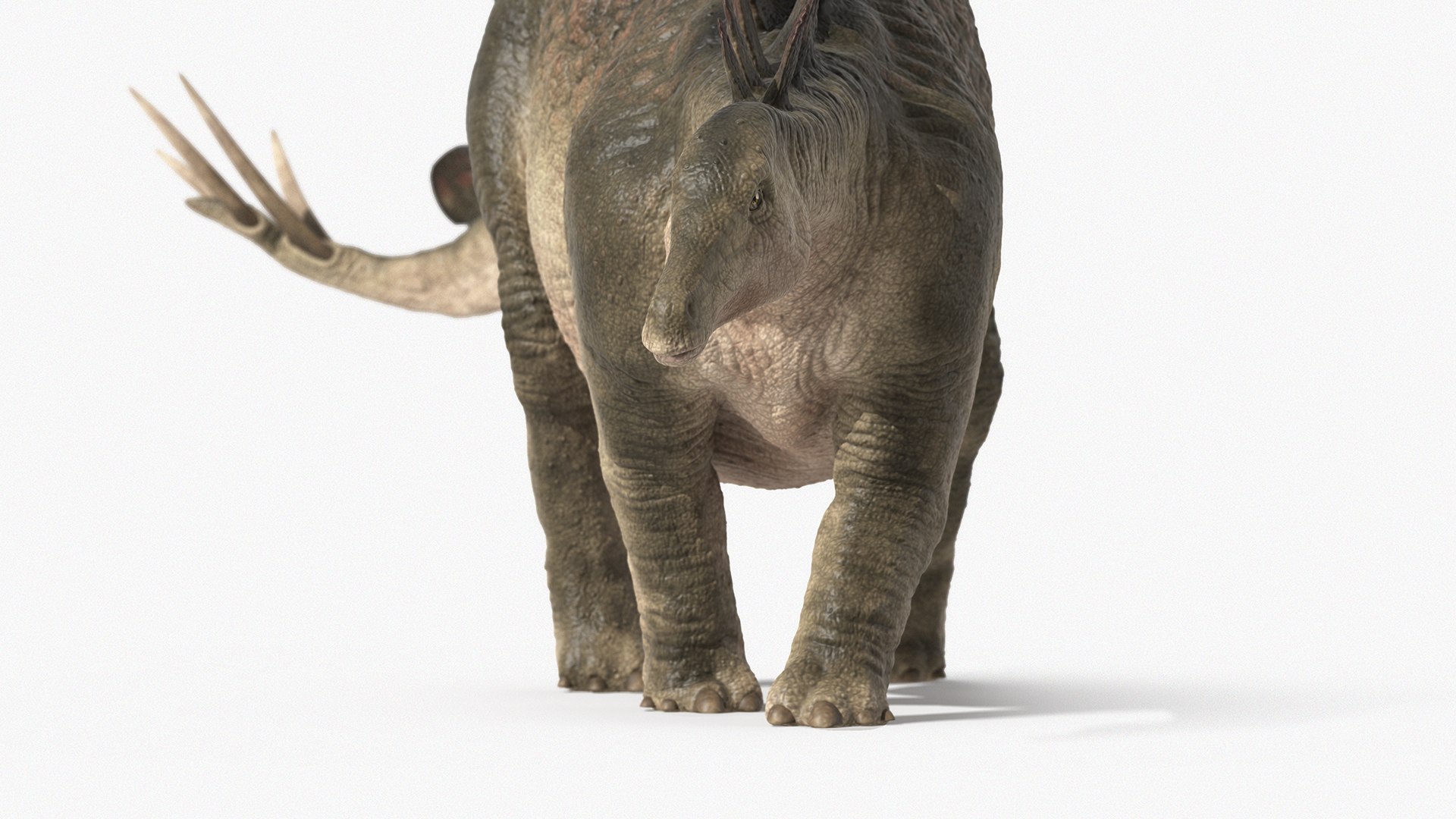 Stegosaurus - Rigged And Animated 3D - TurboSquid 1770311