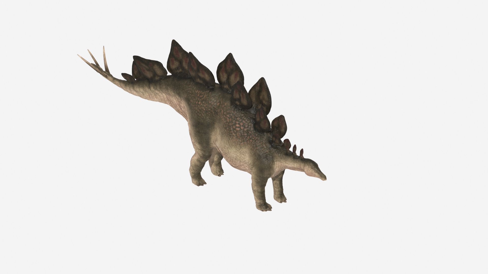 Stegosaurus - Rigged and Animated 3D - TurboSquid 1770311