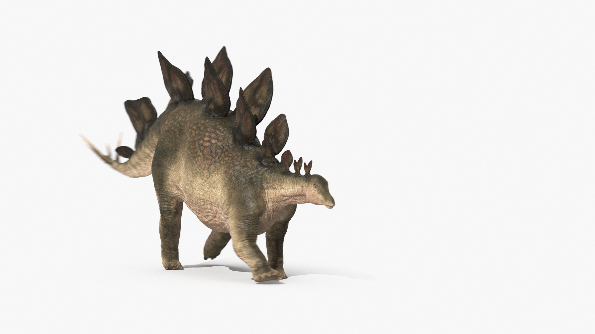 Stegosaurus - Rigged And Animated 3D - TurboSquid 1770311