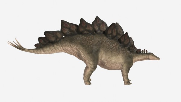 Stegosaurus - Rigged and Animated 3D - TurboSquid 1770311