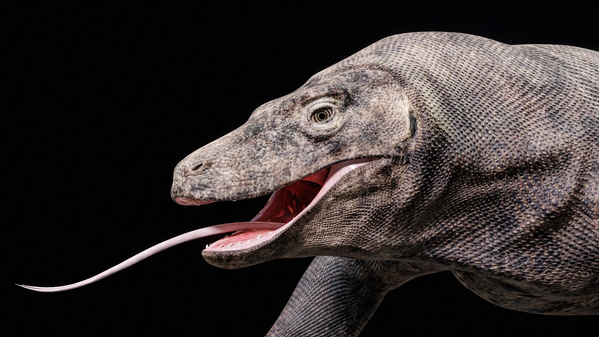 3D Komodo Dragon Detailed Rigged PBR - TurboSquid 2199618