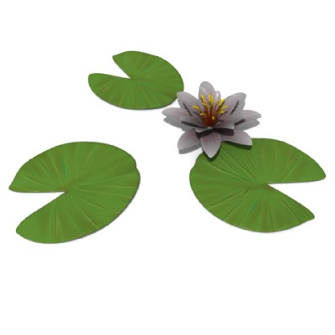3d Water Lily Model