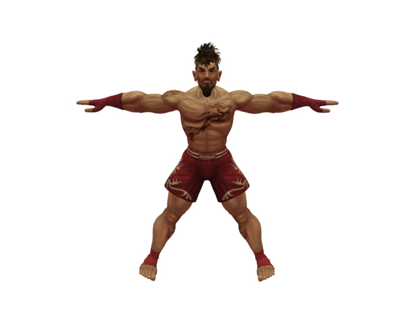3d model of street fighter
