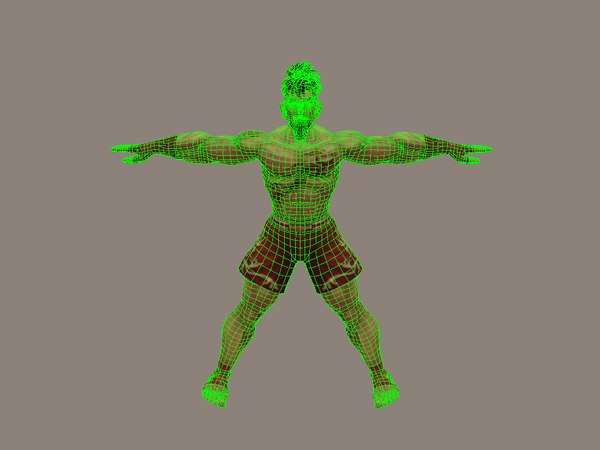 3d model of street fighter