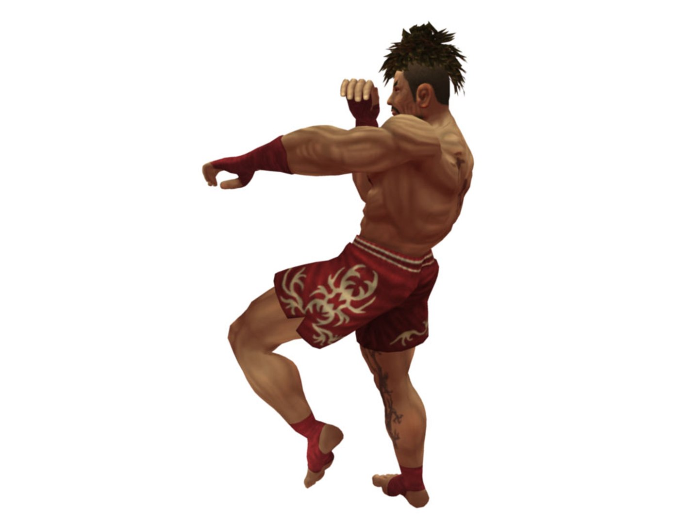 3d model of street fighter