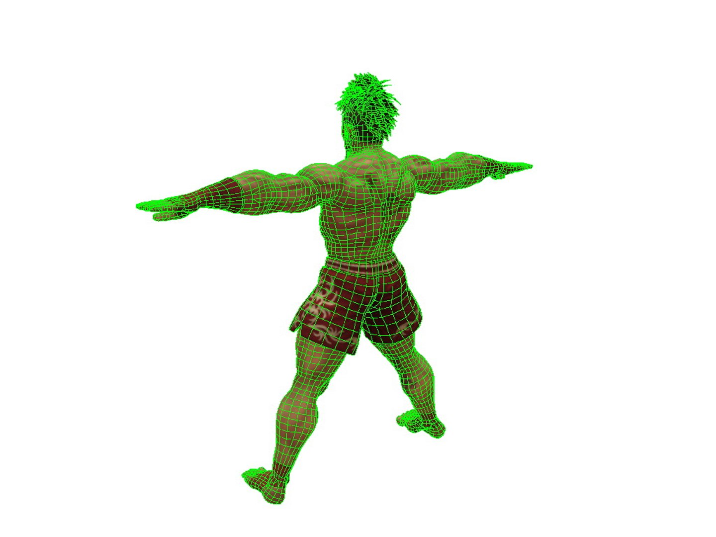 3d model of street fighter