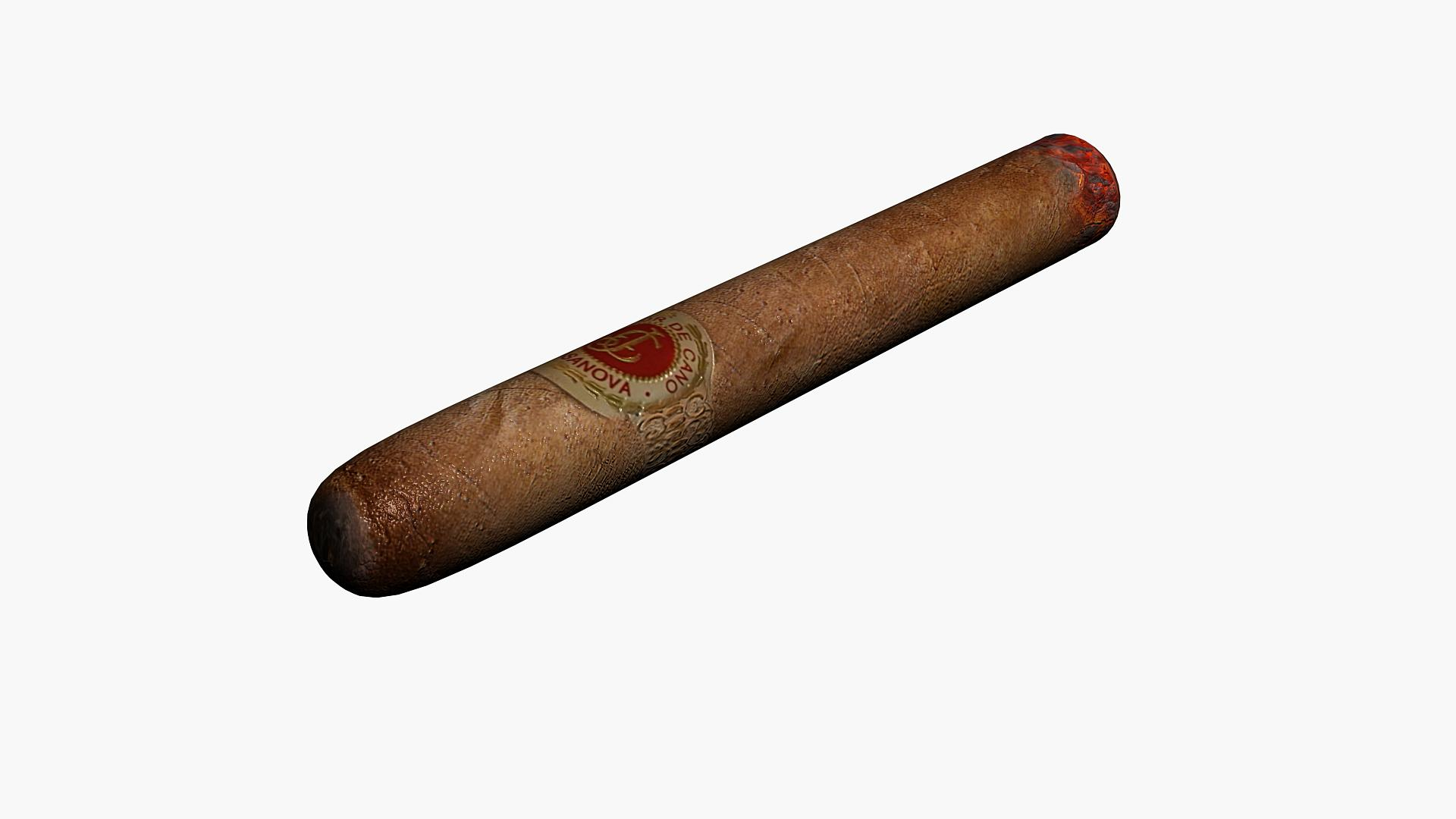 3D Cigar - TurboSquid 2034315