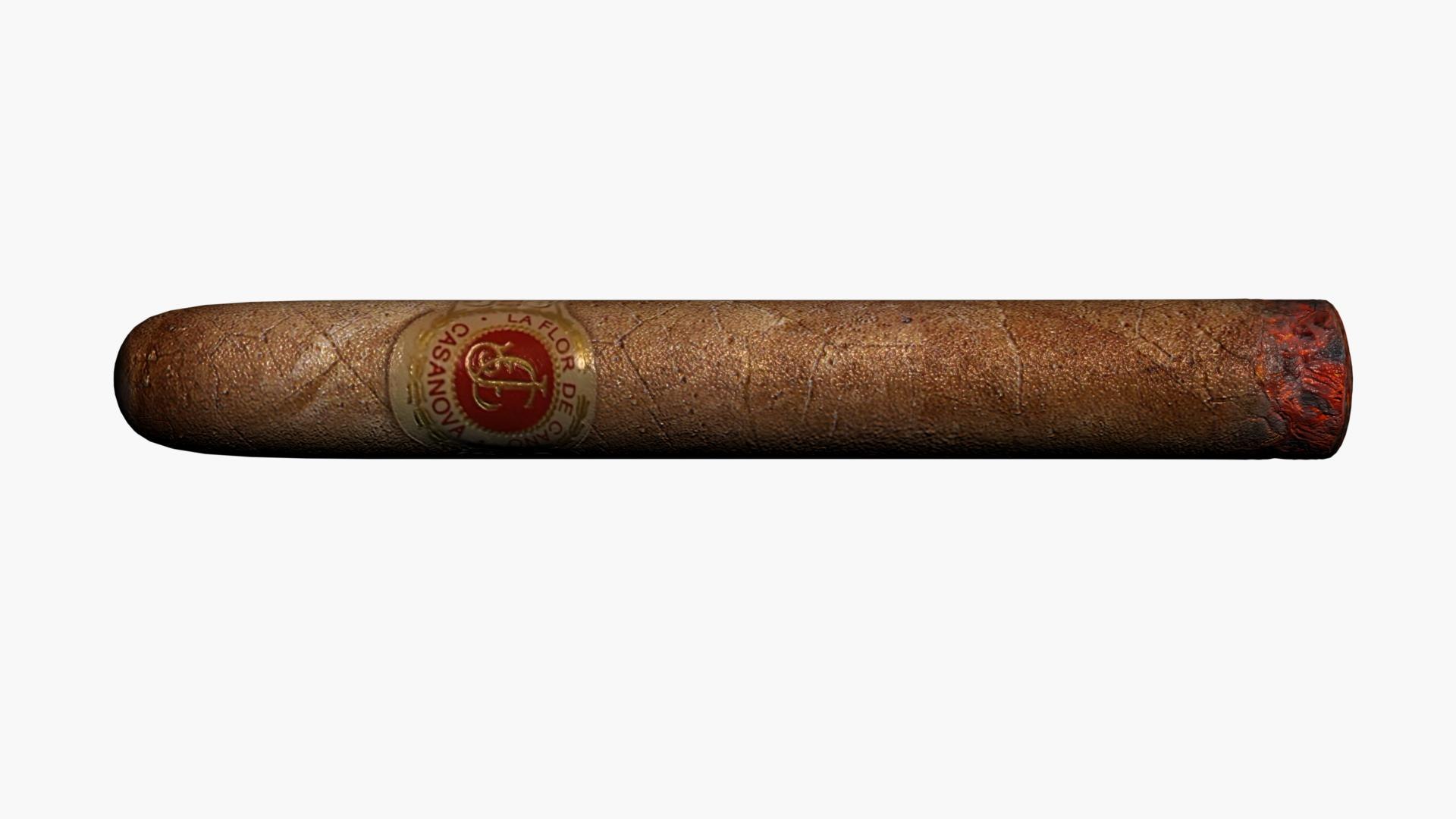 3D Cigar - TurboSquid 2034315
