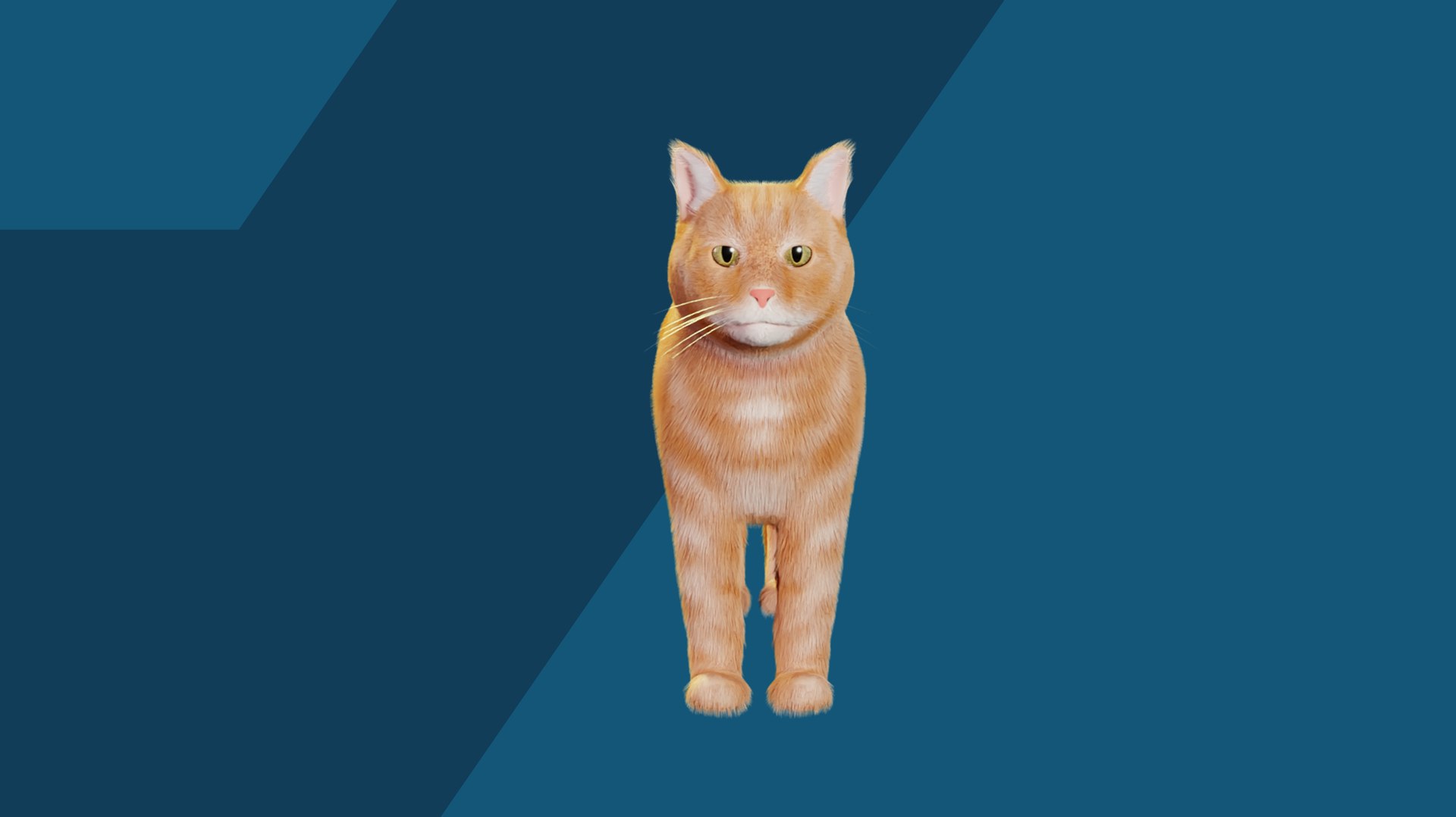 3D Cat 3D Realistic Character With Fur Rigged Model Blender Model ...