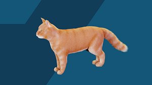 Cartoon Cat Blender Models for Download | TurboSquid