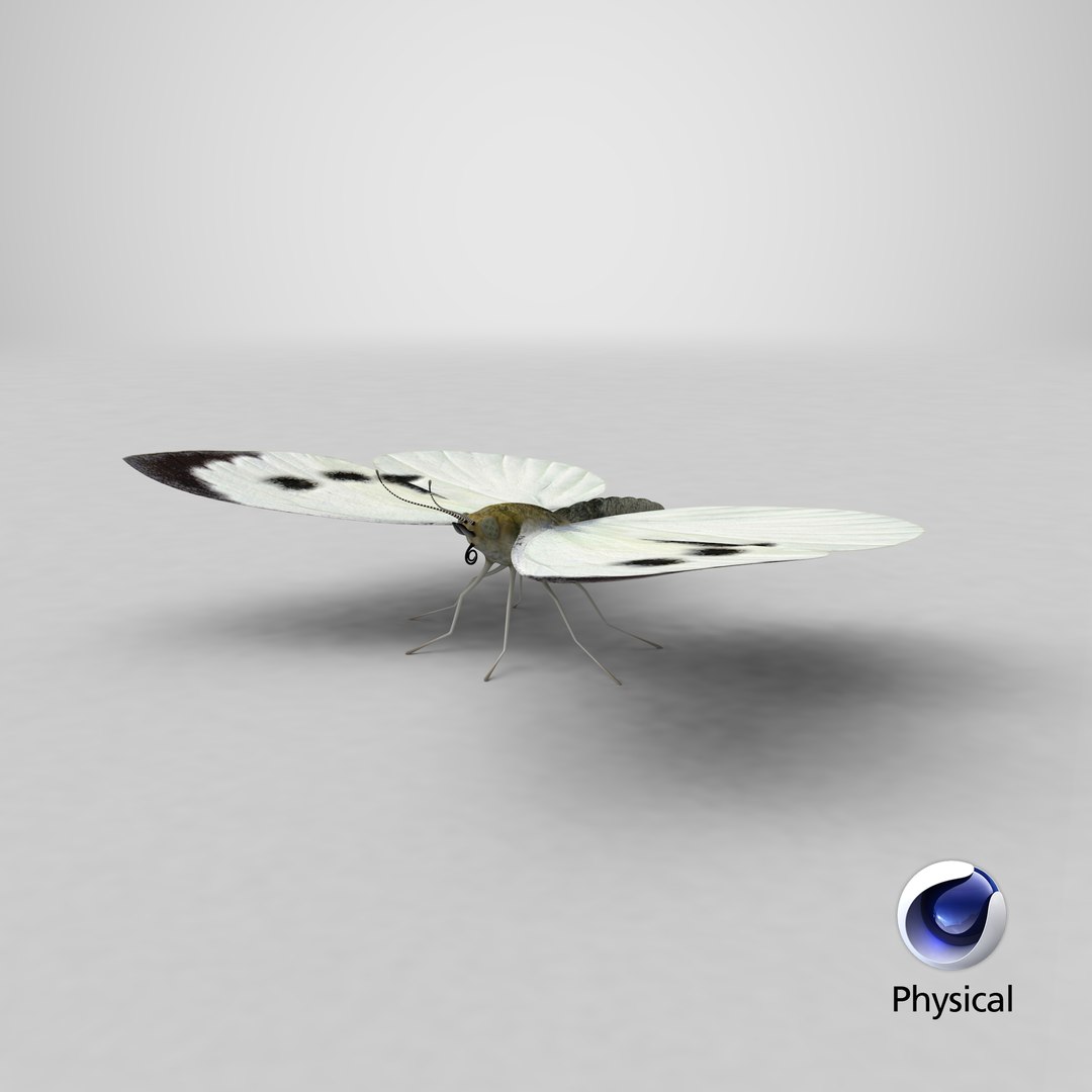 Realistic large white female 3D model - TurboSquid 1333074