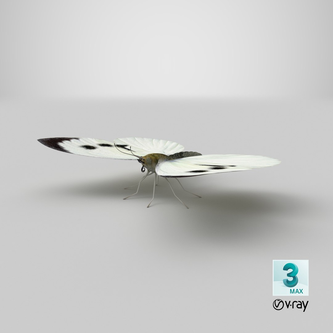 Realistic large white female 3D model - TurboSquid 1333074