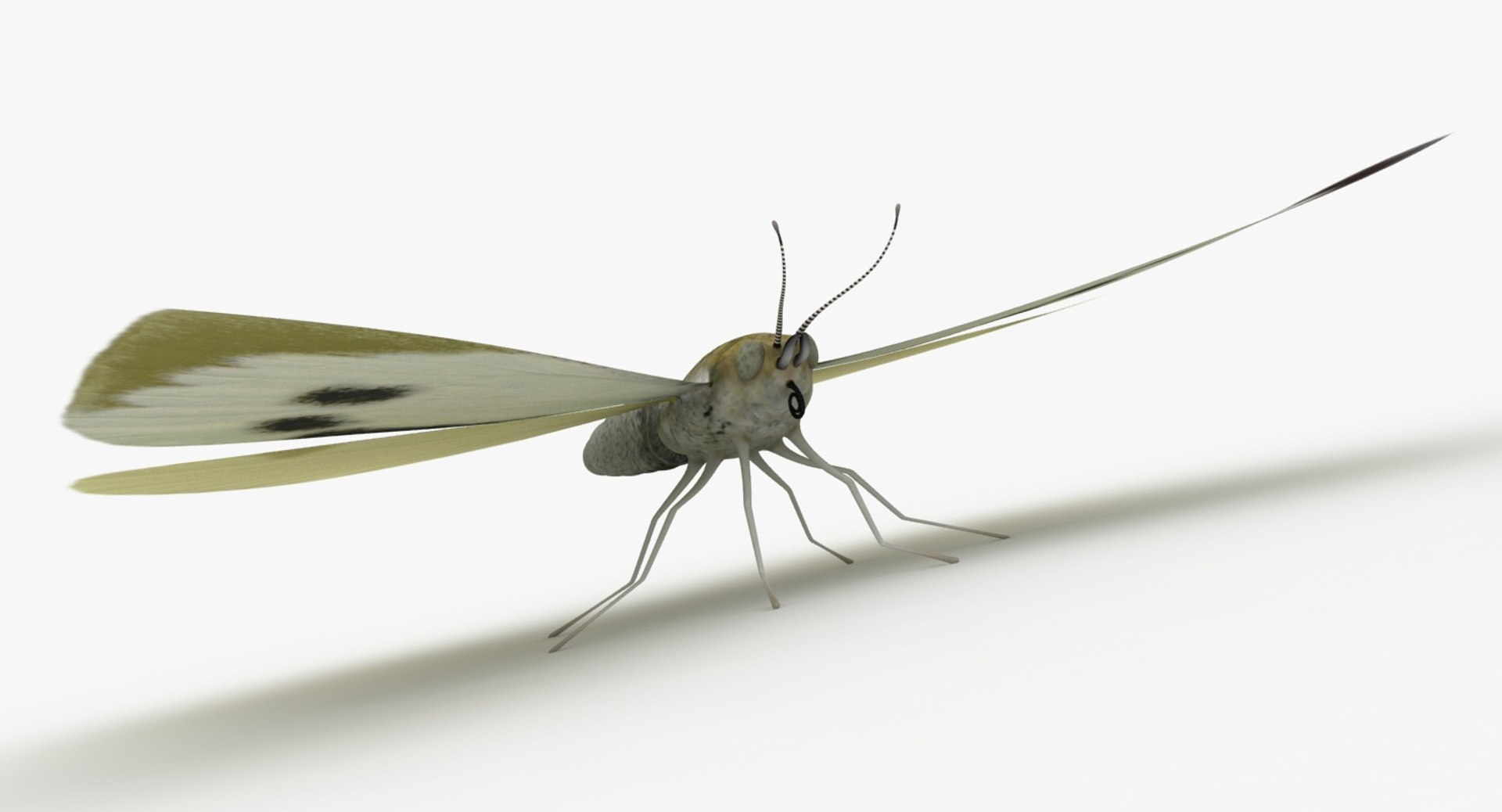 Realistic Large White Female 3D Model - TurboSquid 1333074